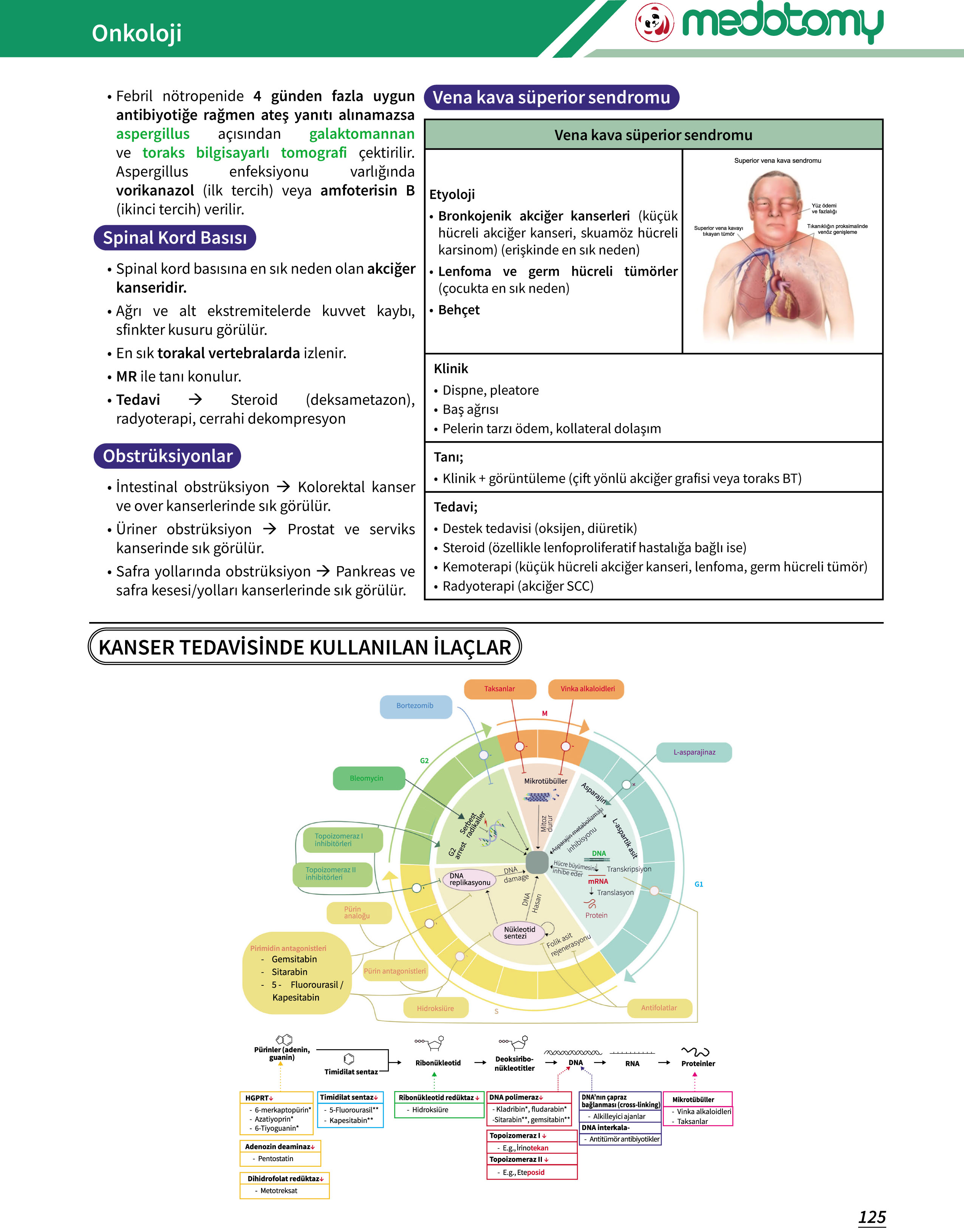 Medotomy Dahiliye Konu Kitabı 2. Baskı / Erhan Çonay Kitabı – Satın Al ...